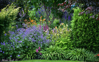 Estonian gardens